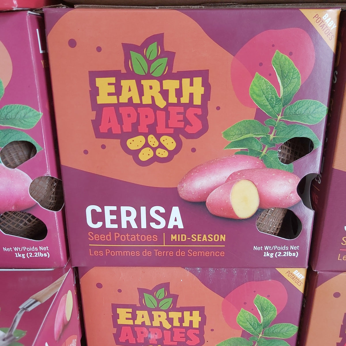 Cerisa Seed Potatoes - 2.2lbs – Sherwood Greenhouse and Garden Centre Ltd